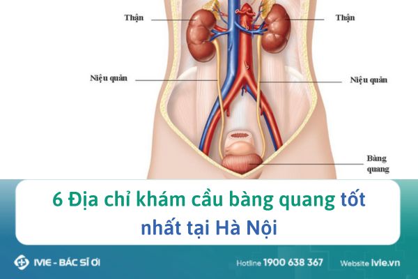 6 Địa chỉ khám cầu bàng quang tốt nhất tại Hà Nội